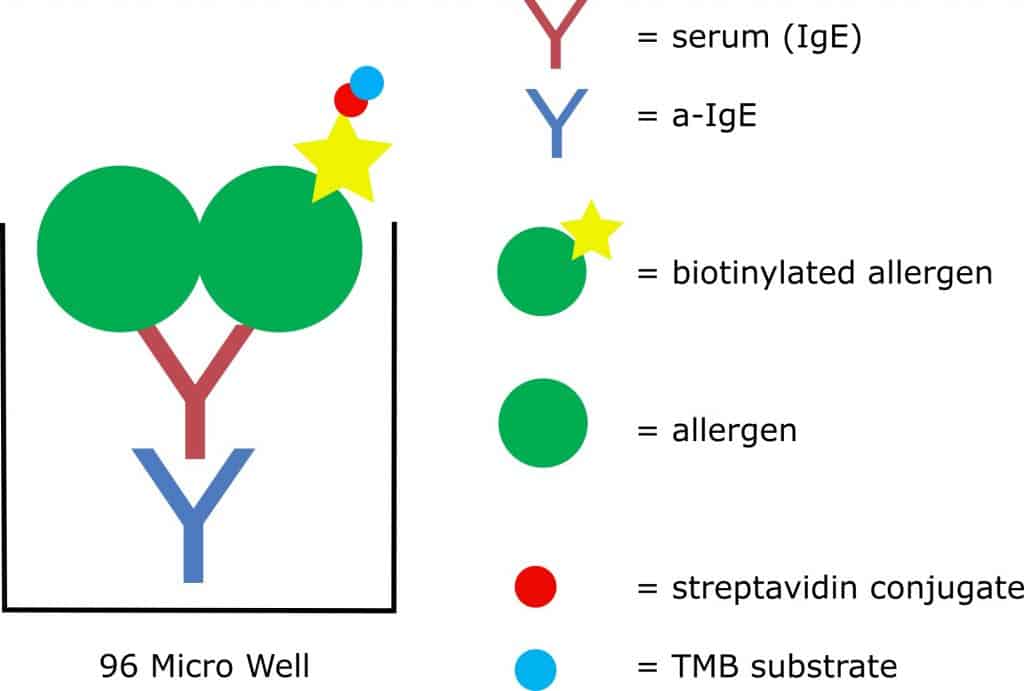 Protocol for biotinylation - Citeq Biologics